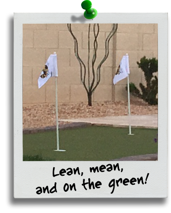 NorthStar Flags Gallery