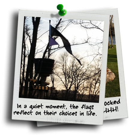 NorthStar Flags Gallery